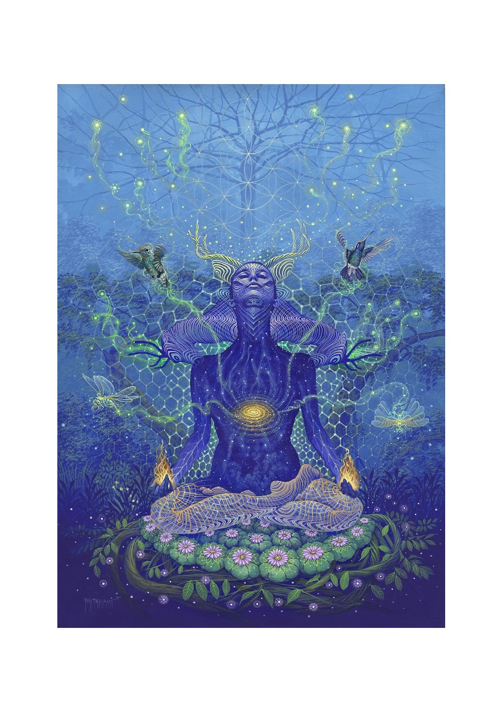 Luz Universal ~ Postcard